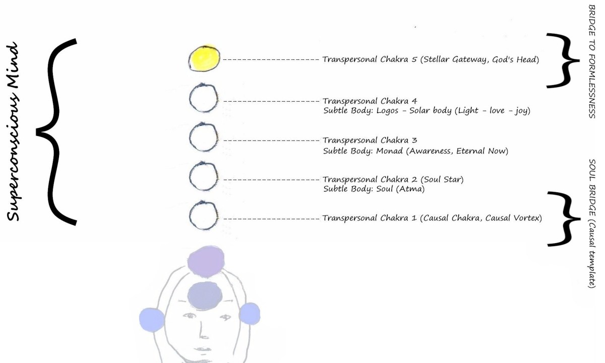 Tiny Anthologies: Diverse Drawings 11: New Chakras and Subtle Bodies ...