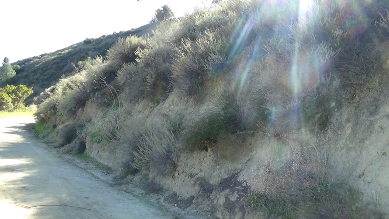 Tiny Anthologies: Devas of Hills and Dales . by Alice B. Clagett ...