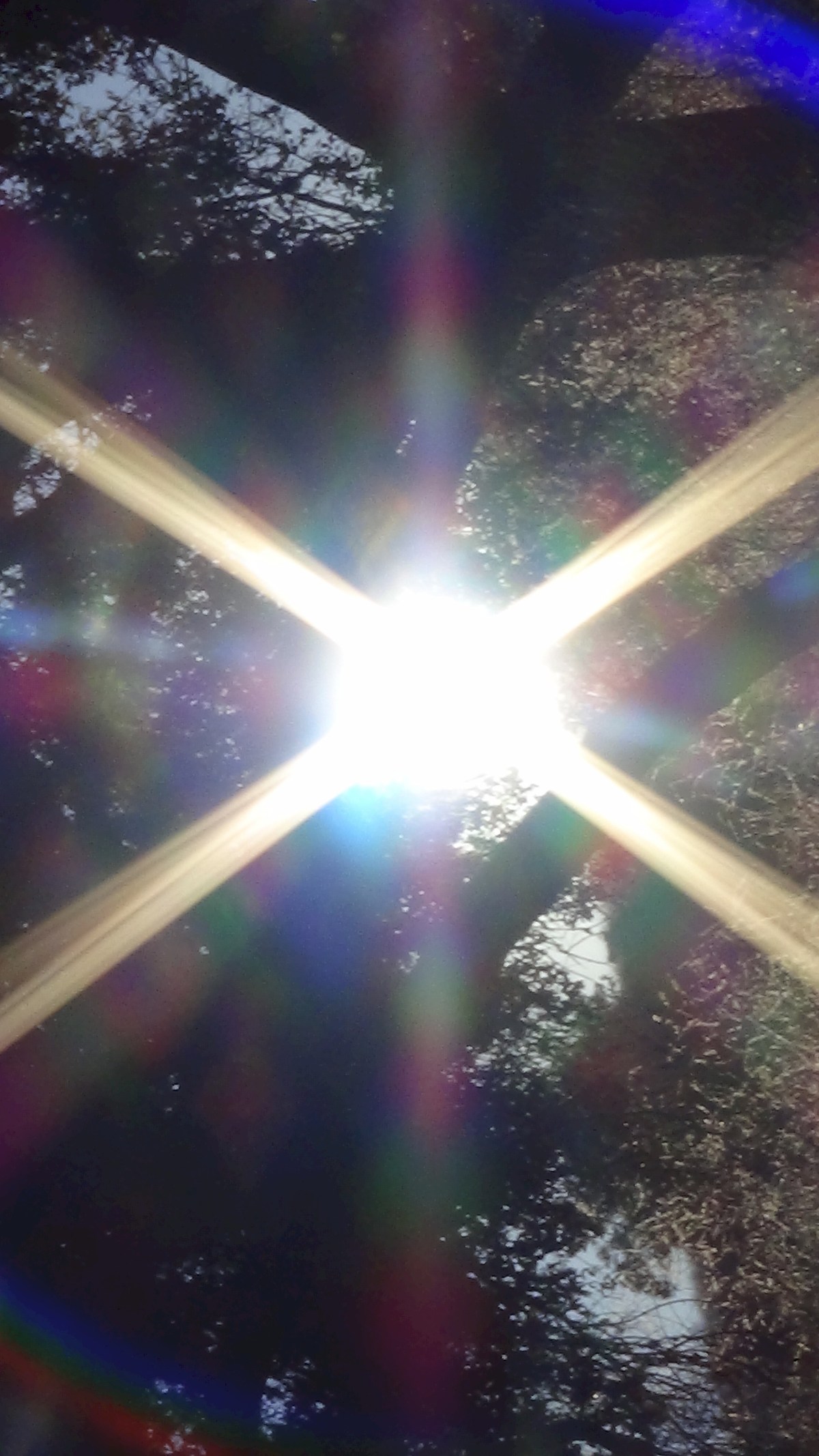 Tiny Anthologies: Devas of the Forests of Earth 13 . by Alice B ...