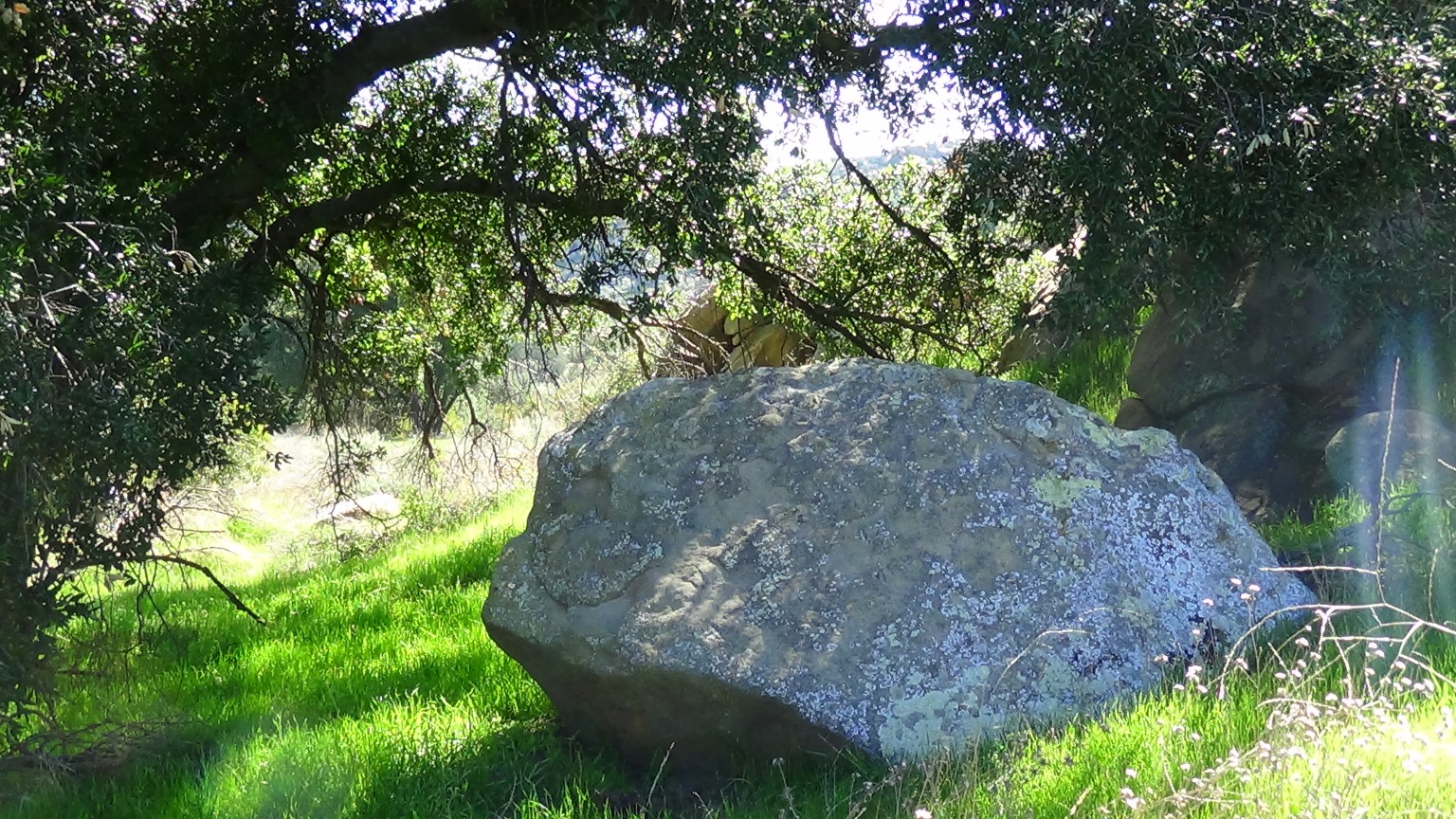 Sage Ranch Park 2 . photos by Alice B. Clagett - Awakening with Planet ...