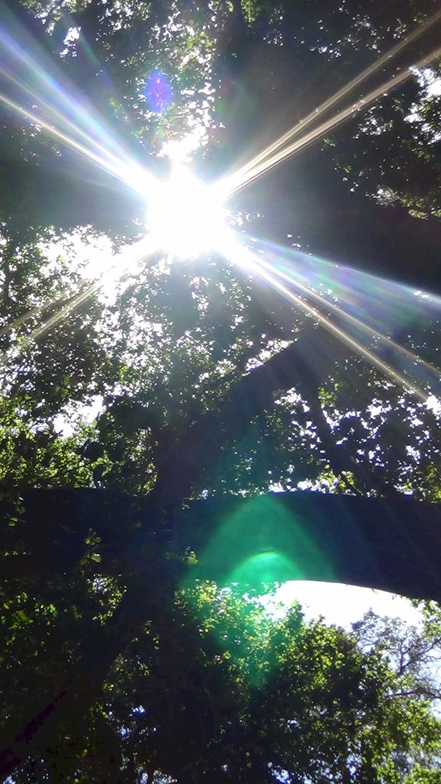 Tiny Anthologies: Incoming Light – Light Downloads – Light Upgrades 16 ...