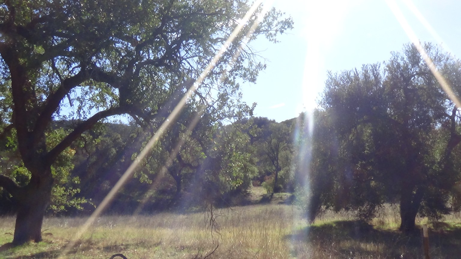 Tiny Anthologies: Incoming Light – Light Downloads – Light Upgrades 16 ...