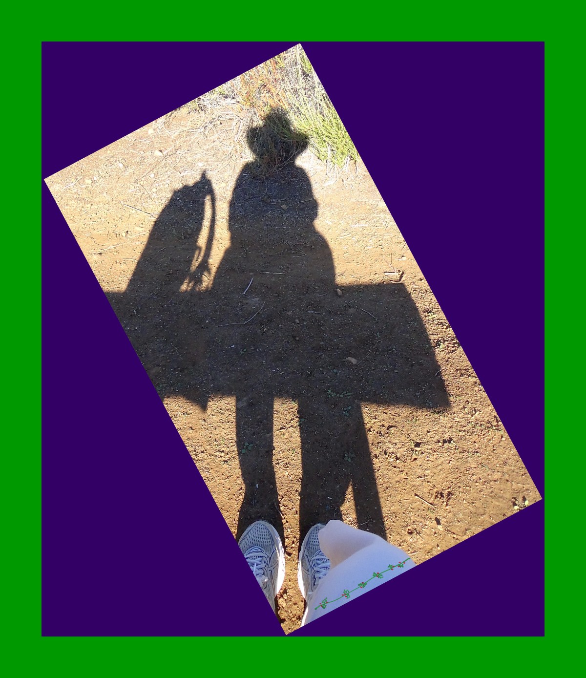 Winter Solstice 2022 . photos by Alice B. Clagett - Awakening with ...