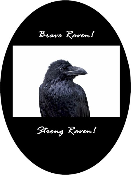 Raven Animal Husbandry of Songbirds and Hawks . by Alice B. Clagett ...