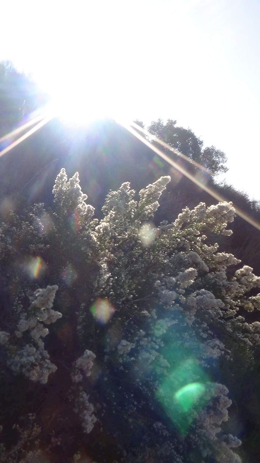 Cloud readings - AWAKENING WITH PLANET EARTH