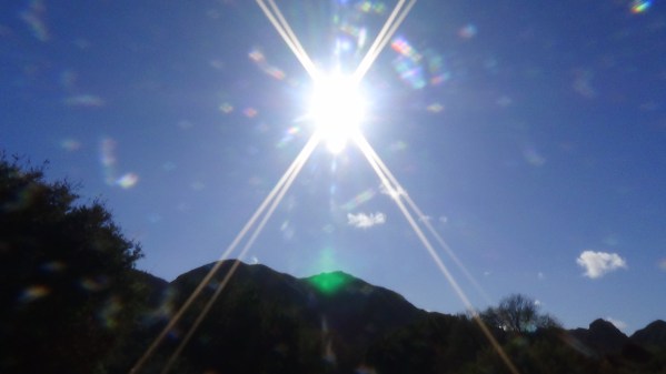 Ravens Decide Vision Casting Is Better Than Counting . by Alice B ...